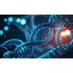 KI-Tool „Helixer“ entdeckt Gene in unbekannten Organismen - LIMS.de